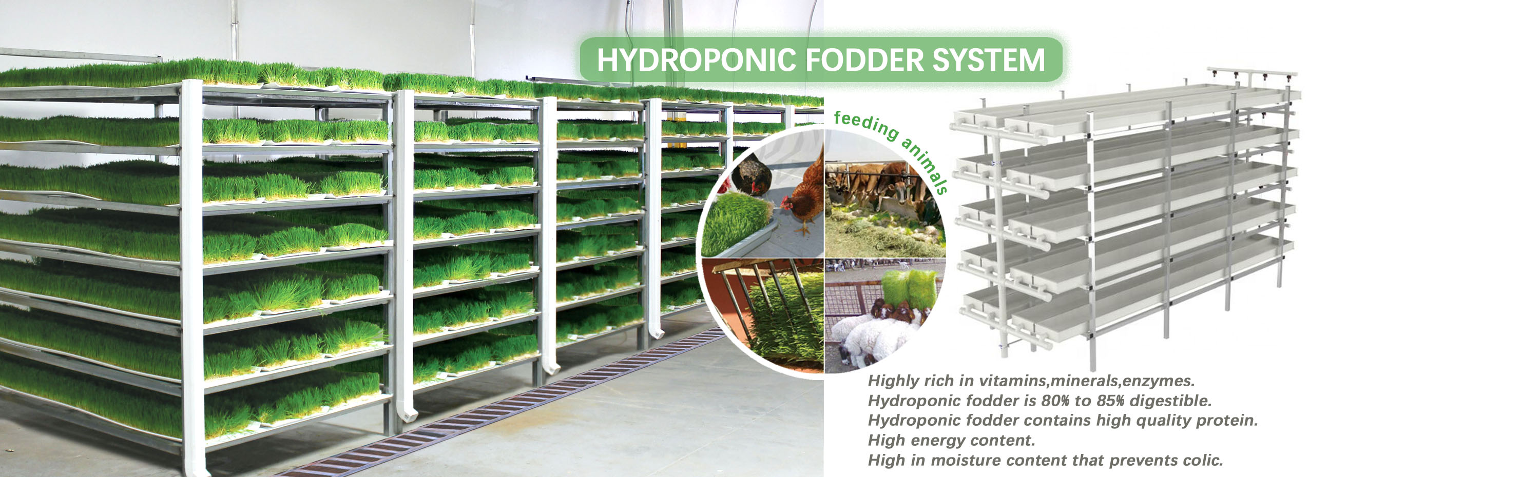Hydroponic Indoor & Outdoor Farming Grow System Setting Up