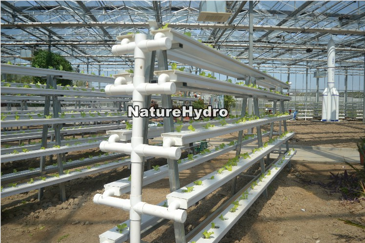 Hydroponic Vertical Farming A Shaped NFT Grow System - Shanghai Dehuan ...