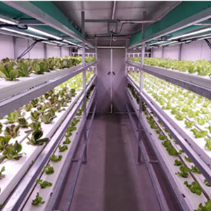 NFT Container system - Shanghai Dehuan Industry Co. , Ltd