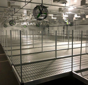 Flood Rolling Bench - Shanghai Dehuan Industry Co. , Ltd