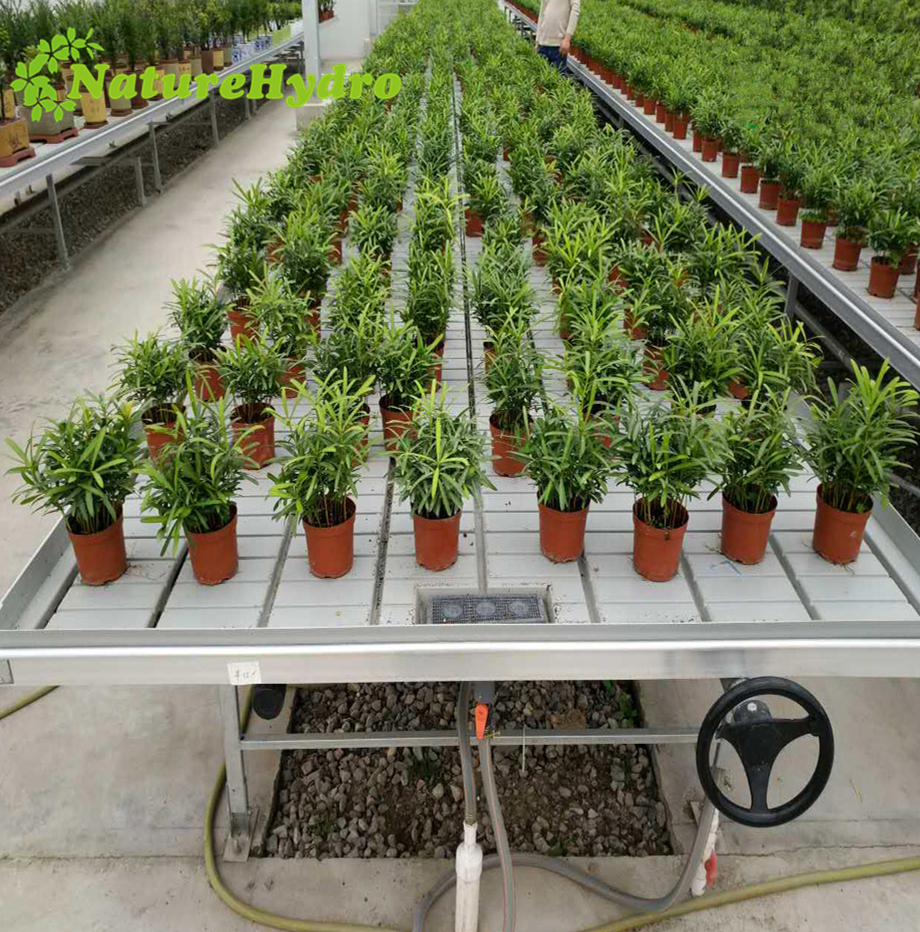 Advanced flood table with rolling benches - Shanghai Dehuan Industry Co ...