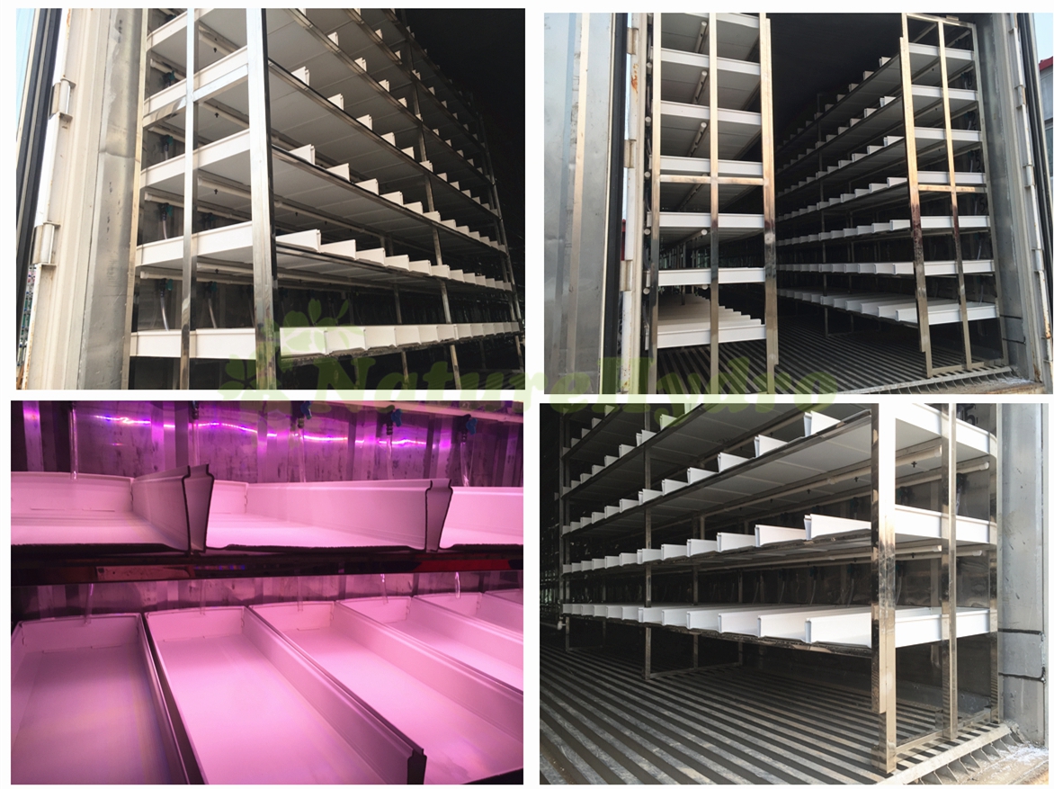 1000kg Fodder Container System - Shanghai Dehuan Industry Co. , Ltd