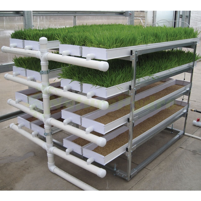 Commercial Barley Fodder System - Shanghai Dehuan Industry Co. , Ltd