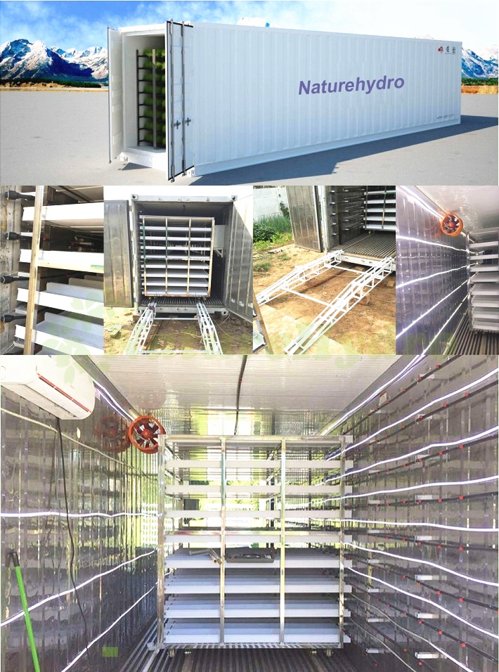 1000kg Fodder Container System - Shanghai Dehuan Industry Co. , Ltd