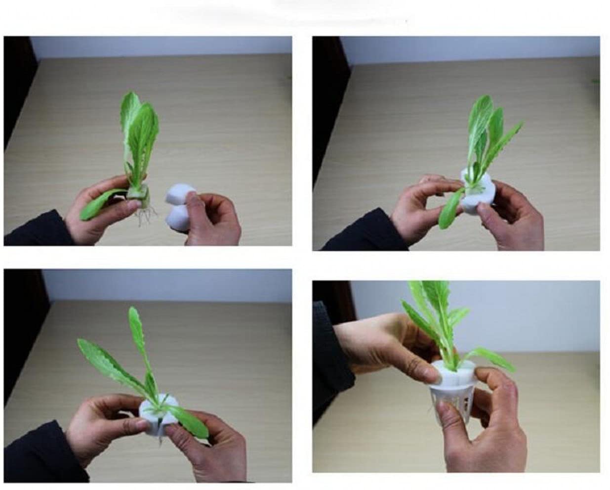 Nursery Grow Seeding Sponge Hydroponic Plant System - Shanghai Dehuan ...